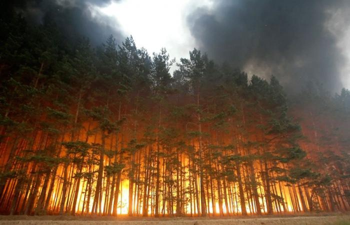 Forest Fire in Russia | Amusing Planet